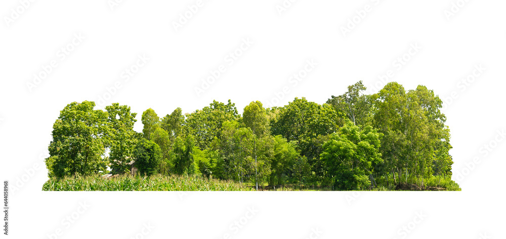 Group green tree isolate on transparent background. png file. Cutout ...