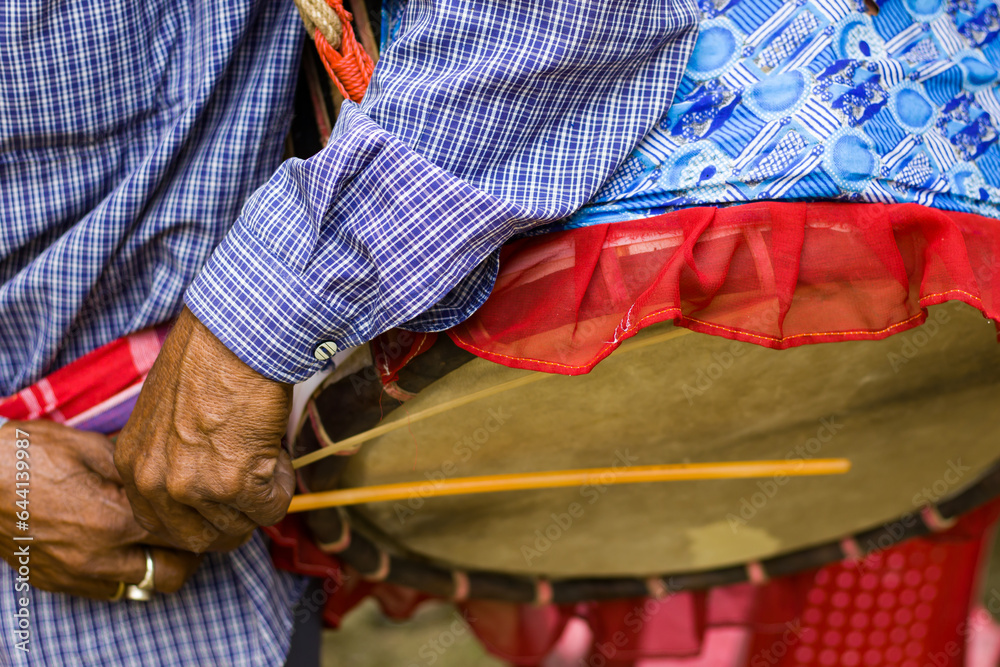 dhak or bengali drum being played during durga puja festival. It is a ...