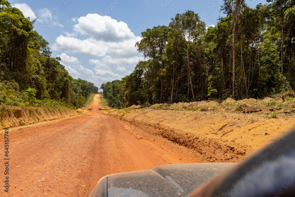 Driving on the famous earth road Transamazonica towards Santarém ...