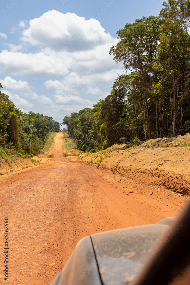 Driving on the famous earth road Transamazonica towards Santarém ...