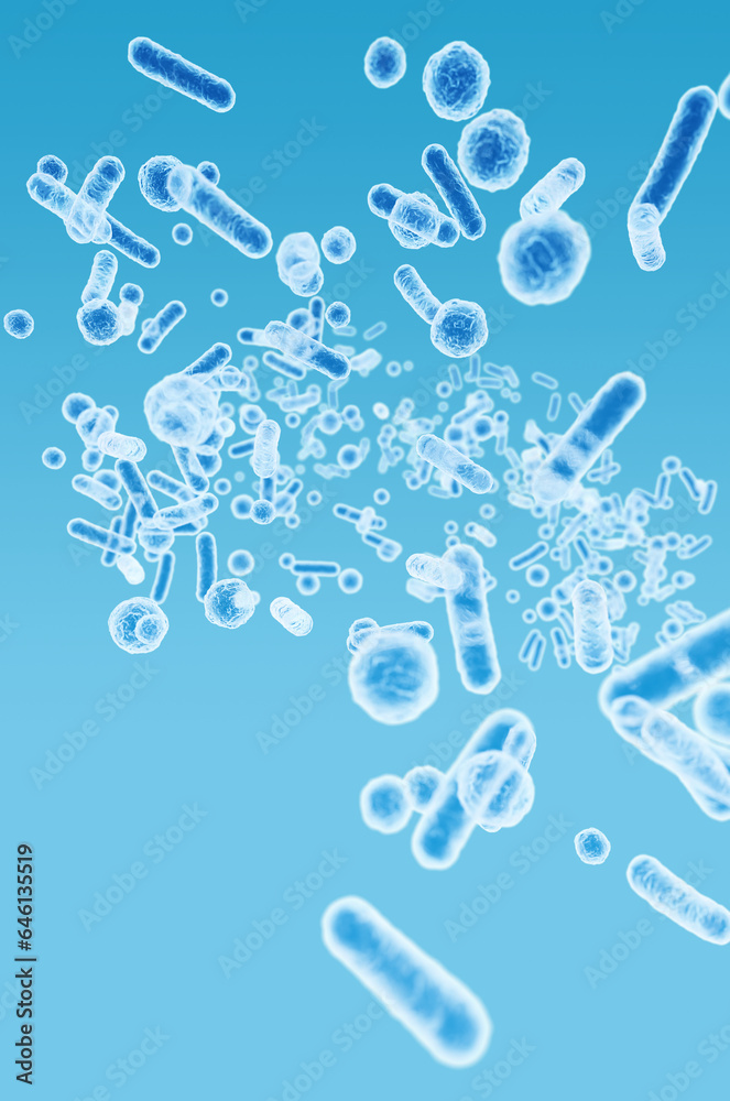Enterobacteriaceae, gram-negative rod-shaped bacteria, part of ...