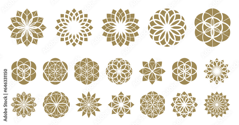 Flower of life vector ancient esoteric symbol big vector set. Stock ...