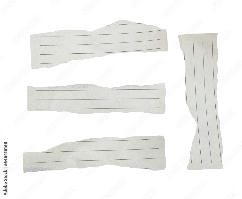 Torn paper piece on transparent background. Ripped lined paper label ...