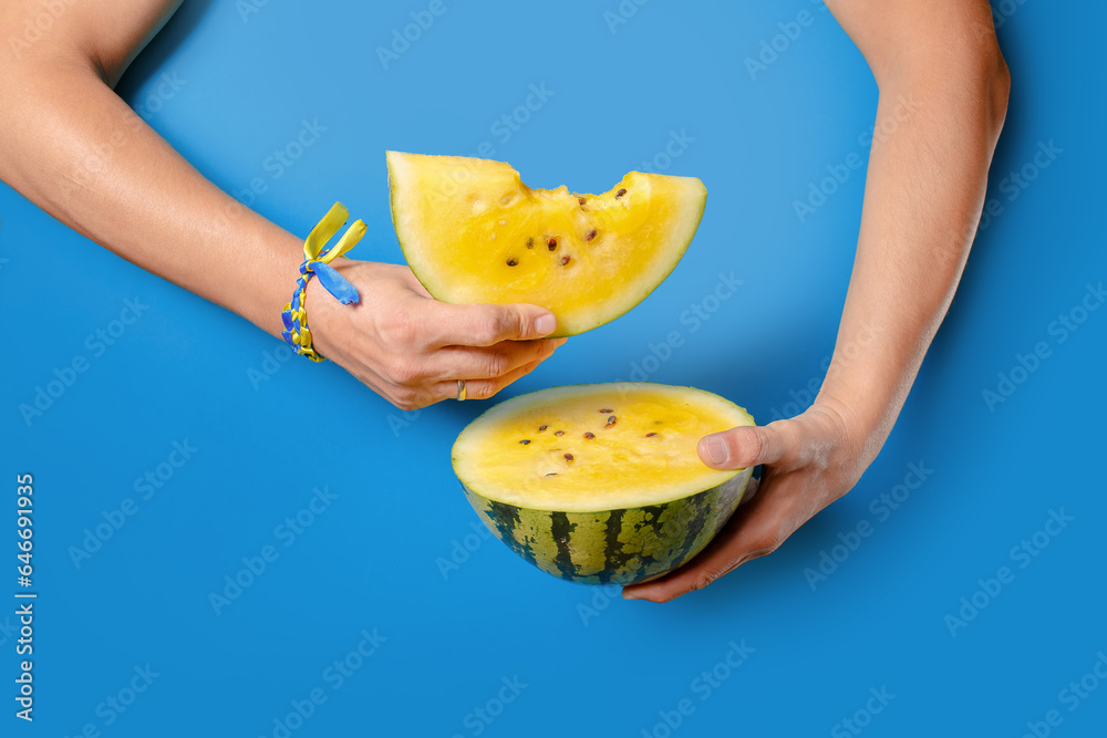 Hand holds a slice of yellow watermelon, as a symbol of Kherson ...