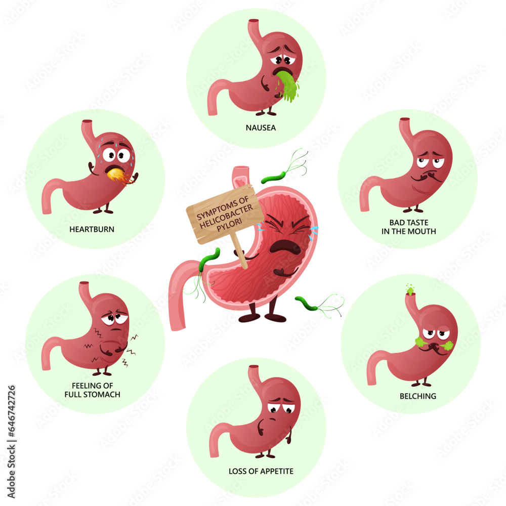 Helicobacter pylori infection symptoms infographic with cartoon stomach characters Stock Vector ...