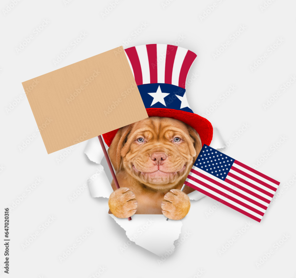 Smiling Mastiff puppy wearing like Uncle Sam looking through a hole in ...