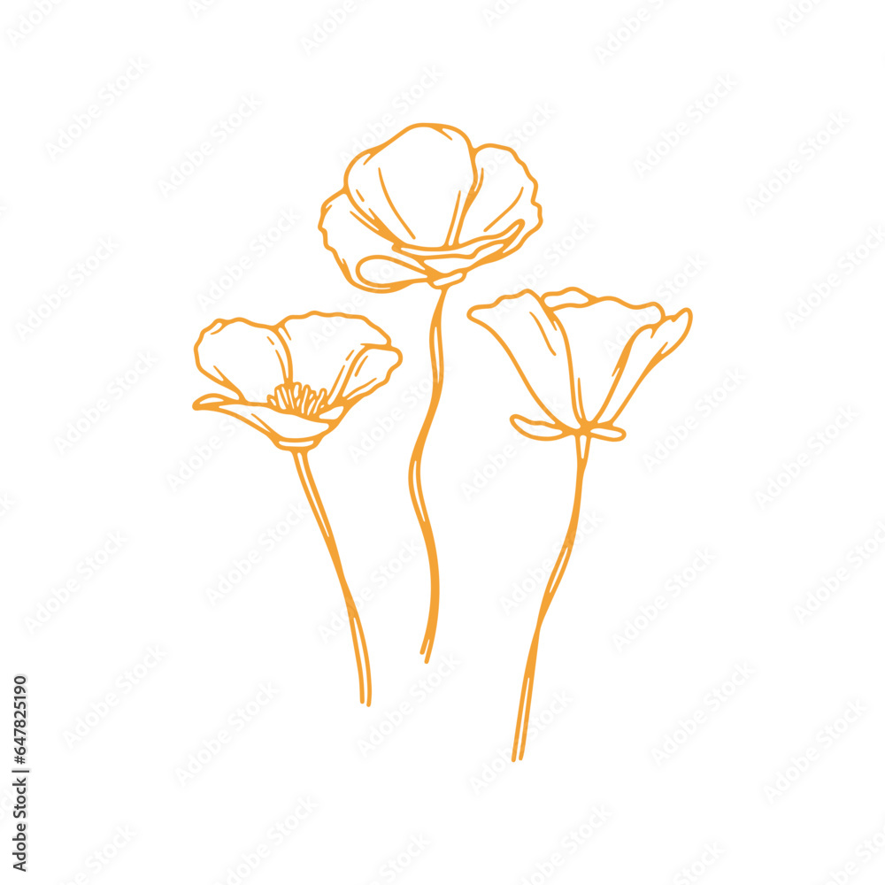 Poppy Flower, Poppy Outline, California Poppy, California Poppy Vector ...
