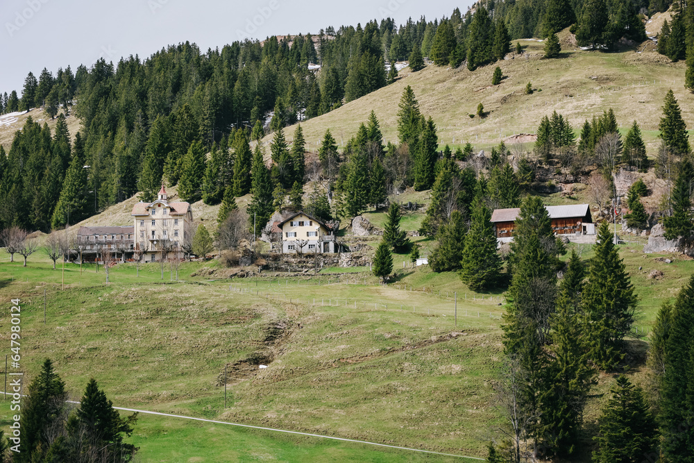 Beautiful nature view beside the railway seen from Rigi bahn cogwheel ...