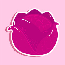 Red Cabbage, Funny Cartoon Free Stock Photo - Public Domain Pictures