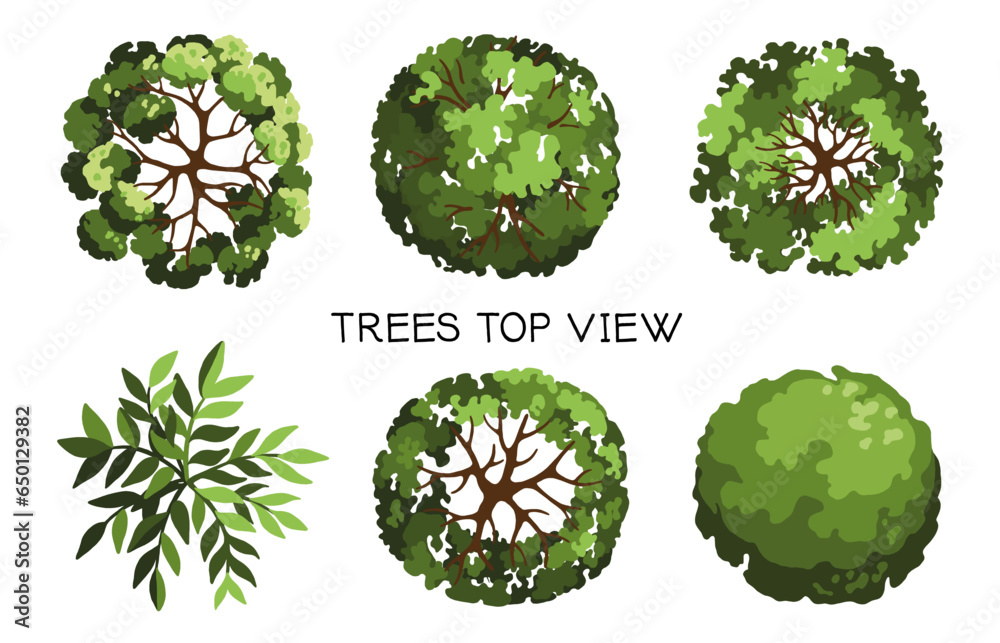 Trees for architectural floor plans. Entourage design. Various top-view ...