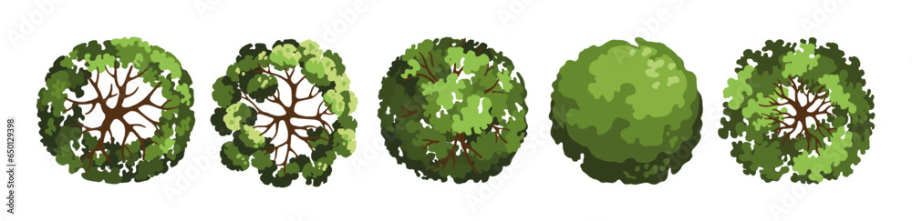 Trees for architectural floor plans. Entourage design. Various top-view ...