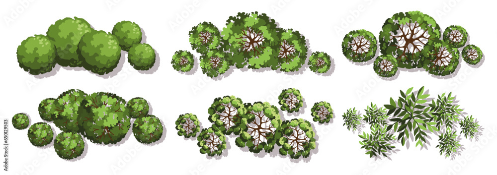 Tree for architectural floor plans. Entourage design. Various trees ...