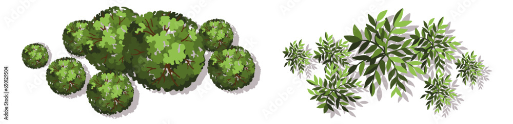 Tree for architectural floor plans. Entourage design. Various trees ...