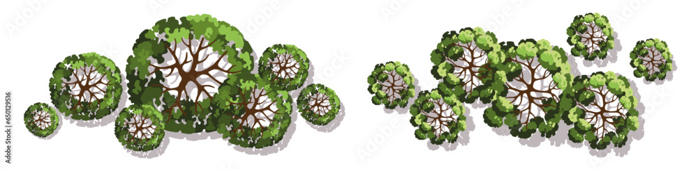 Tree for architectural floor plans. Entourage design. Various trees ...