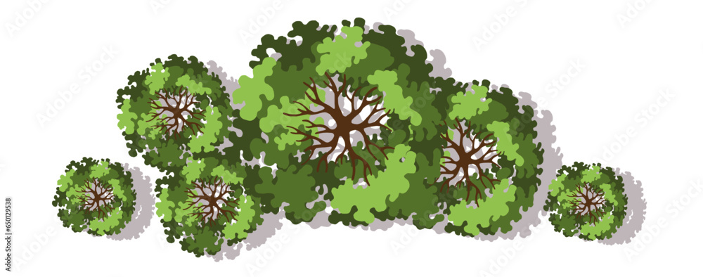 Trees for architectural floor plans. Entourage design. Top view for the ...