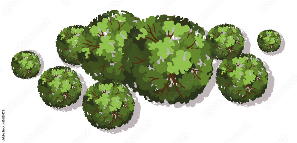 Trees for architectural floor plans. Entourage design. Top view for the ...