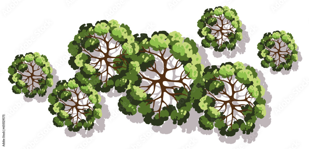 Trees for architectural floor plans. Entourage design. Top view for the ...