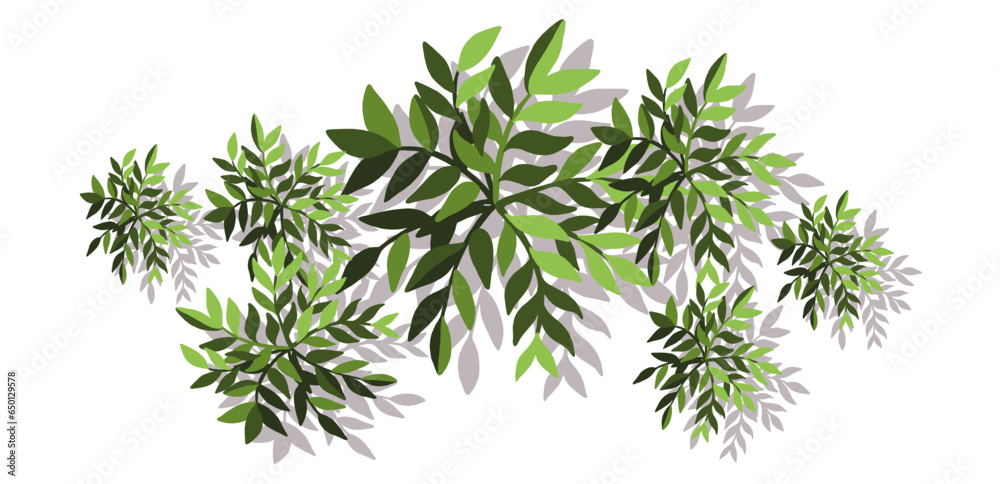 Trees for architectural floor plans. Entourage design. Top view for the ...