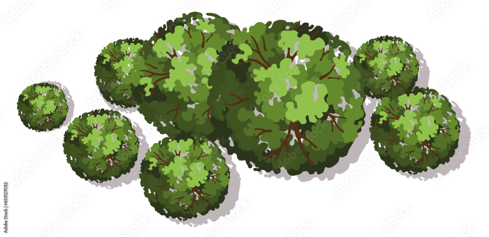 Trees for architectural floor plans. Entourage design. Top view for the ...