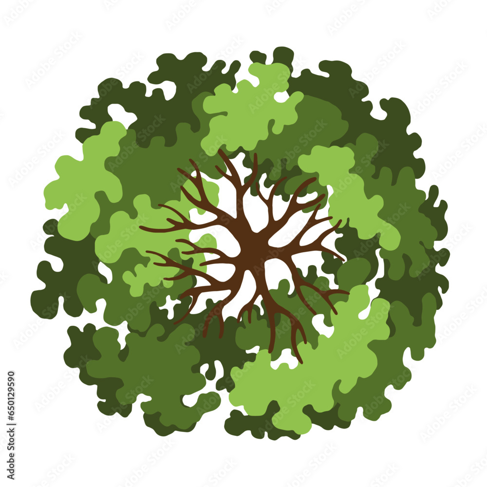 Tree for architectural floor plans. Entourage design. Top view for the ...
