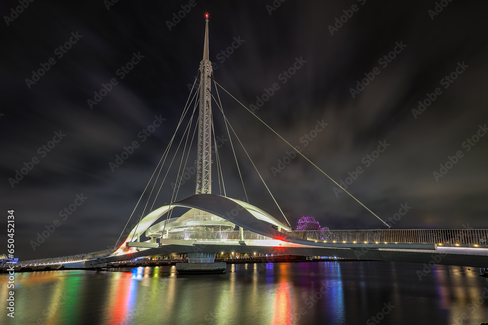 Night view of Dagang Bridge with seashells and dolphins as design ...