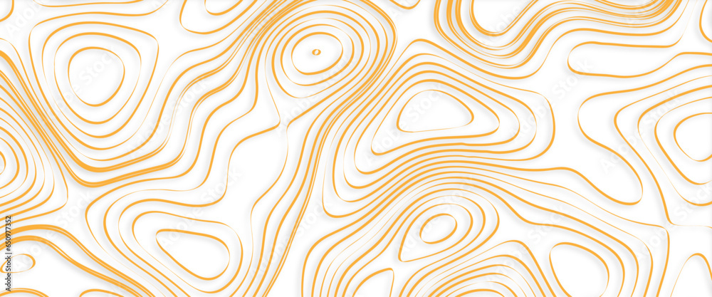 Vector The stylized height of the topographic contour in lines and ...