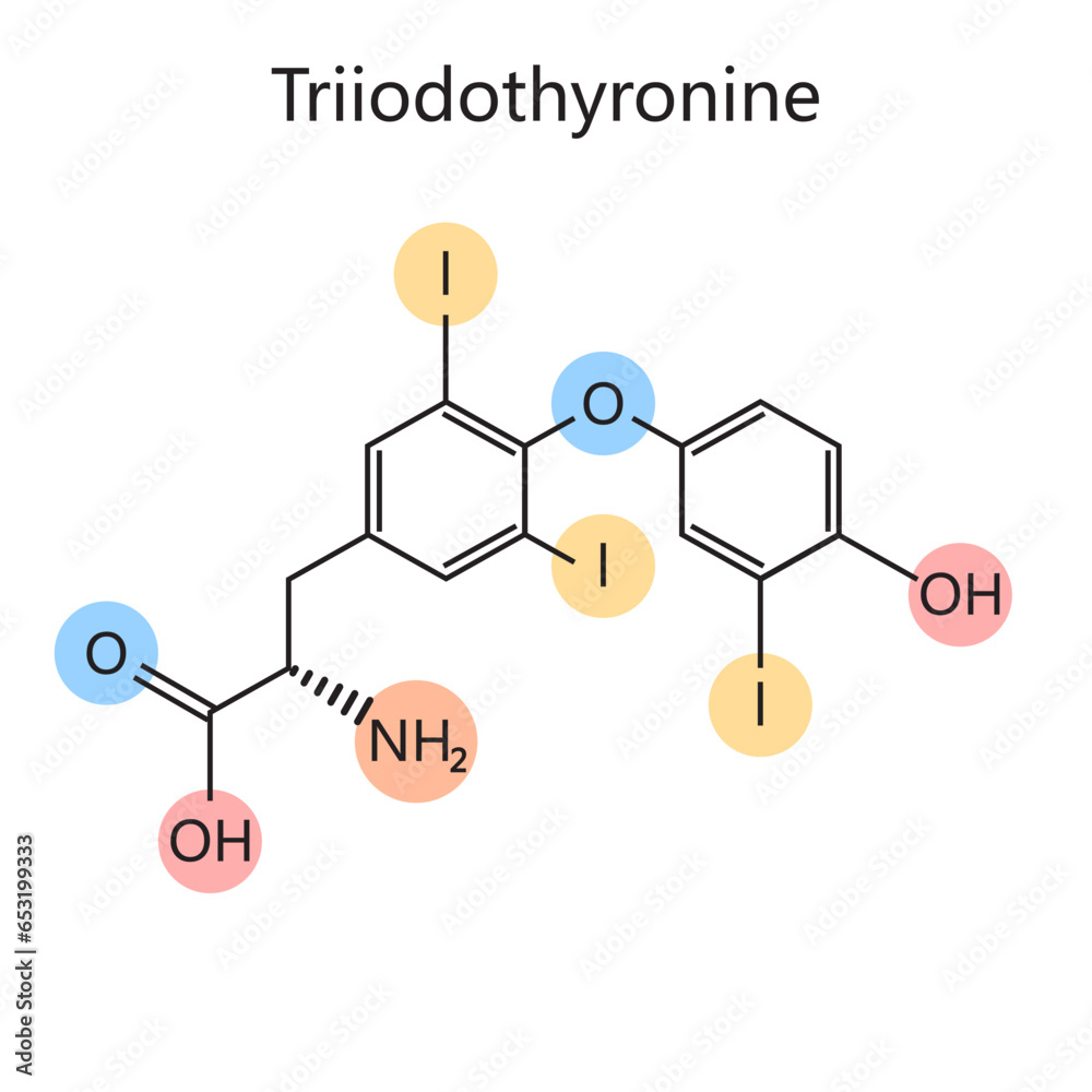 Chemical organic formula of triiodothyronine T3 thyroid hormone diagram ...