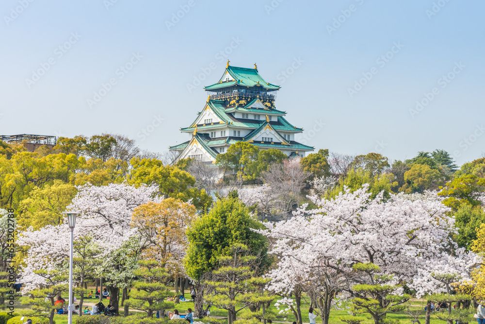 Japanese castle over cherry blossom garden in Hanami festival. The old ...