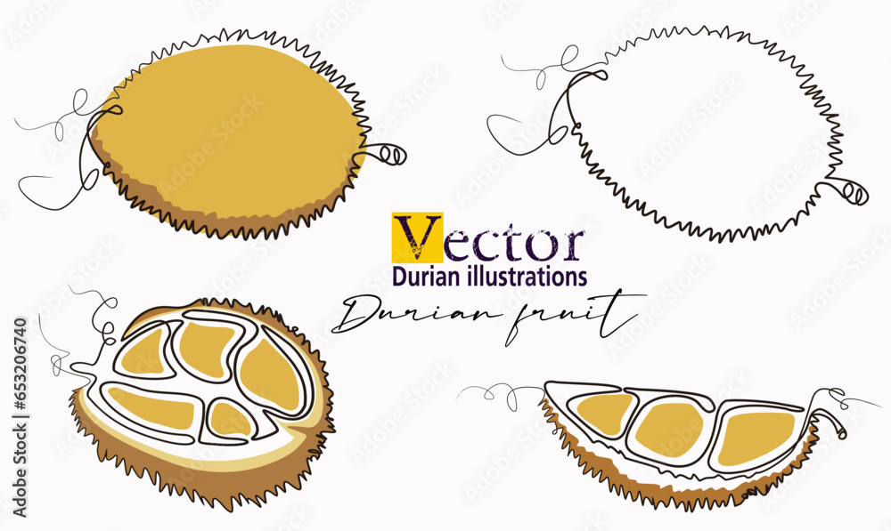 durian vector sketch, illustration of a split durian, continuous line ...