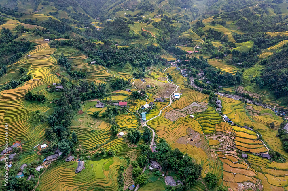 Aerial view of rice field or rice terraces , Sapa, Vietnam. Y Linh Ho ...