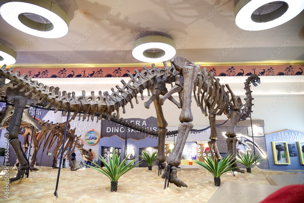 East Java, Indonesia - August 14, 2023. Fossil and Satue of a T-rex ...