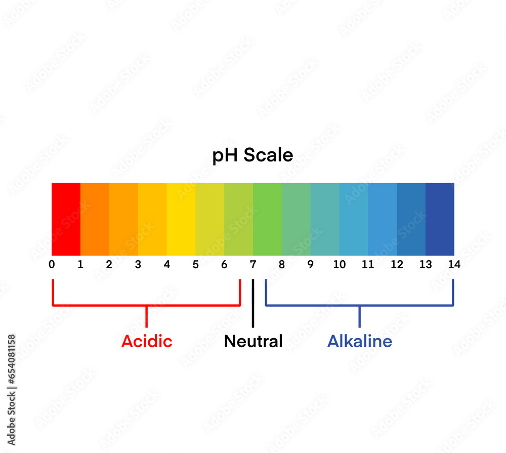 Ph scale diagram, Ph scale vector graphic, Acid to base, pH scale Infographic acid-base balance ...