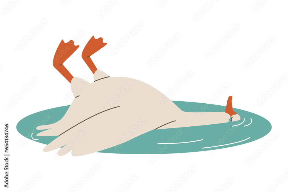 Goose lies in a puddle of tears. Large white bird is lying in the water ...