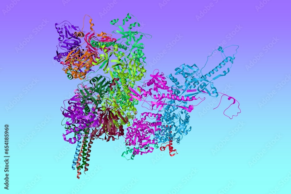 Kaposi's sarcoma-associated herpesvirus, C5 portal vertex structure ...