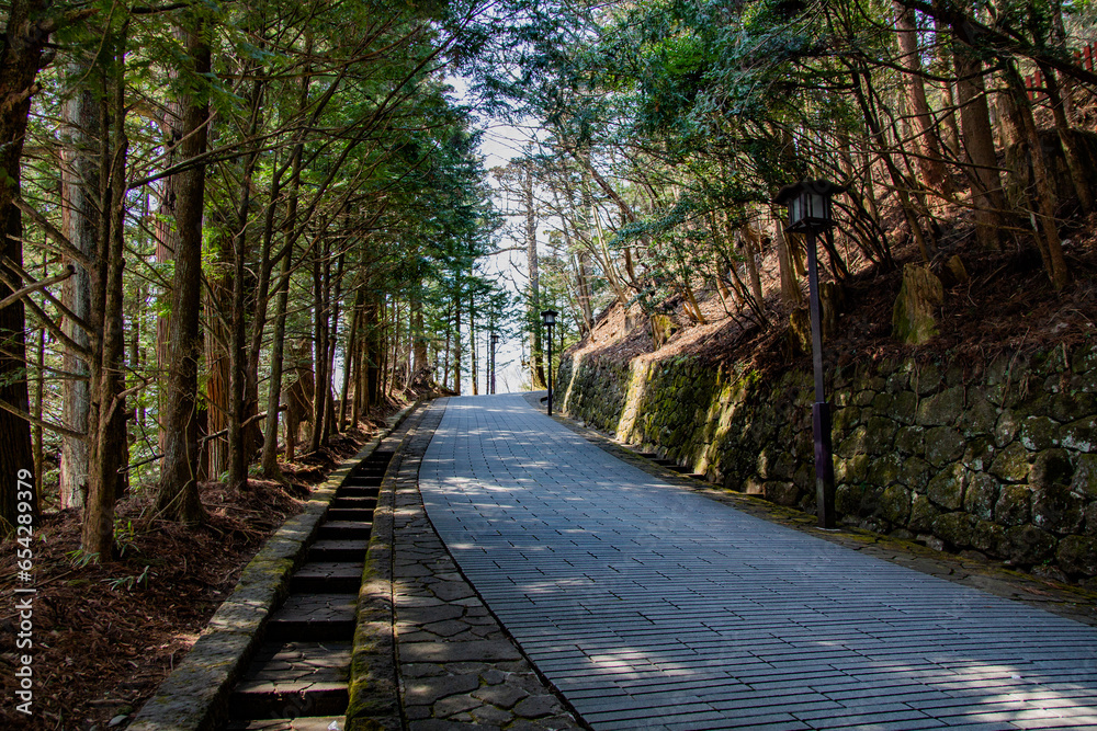 uphill, stone lined pathway or stone paved road surrounded by moss ...