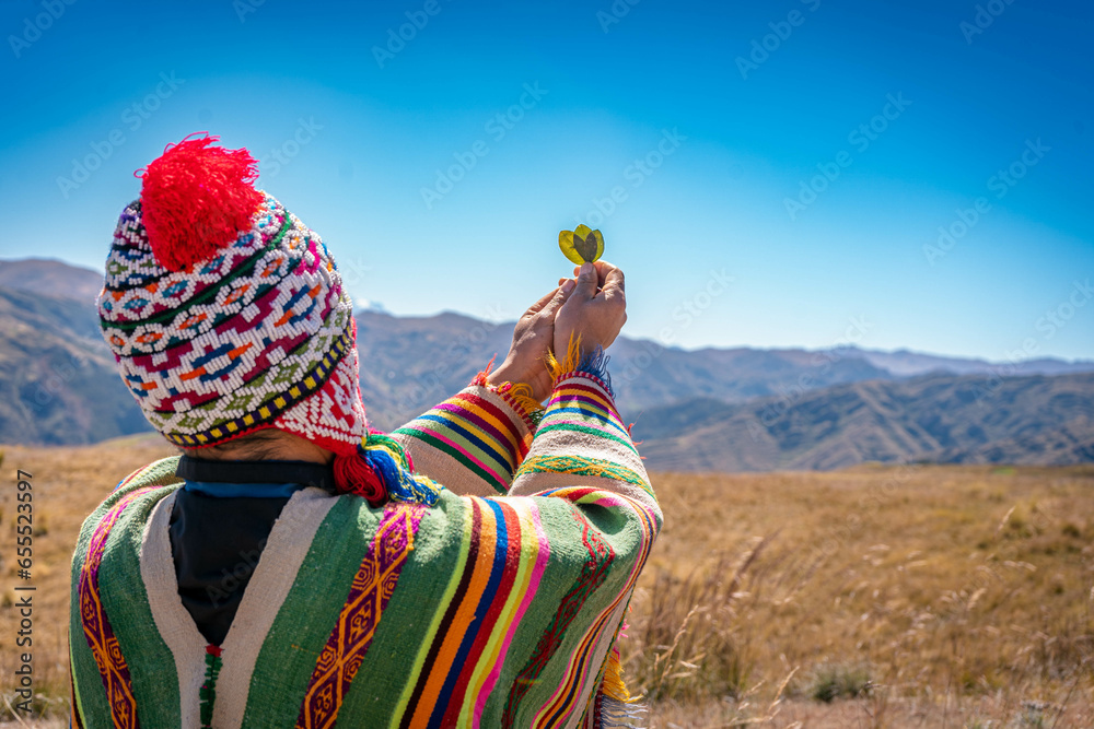 Hombre andino haciendo una ofrenda a la pachamama. en los andes del ...
