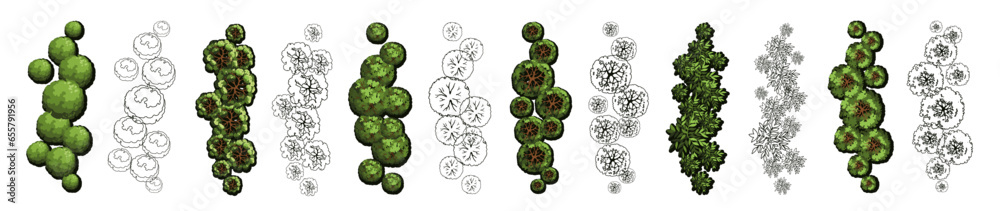 Group of trees for architectural floor plans. Entourage design. Various trees, bushes, and ...