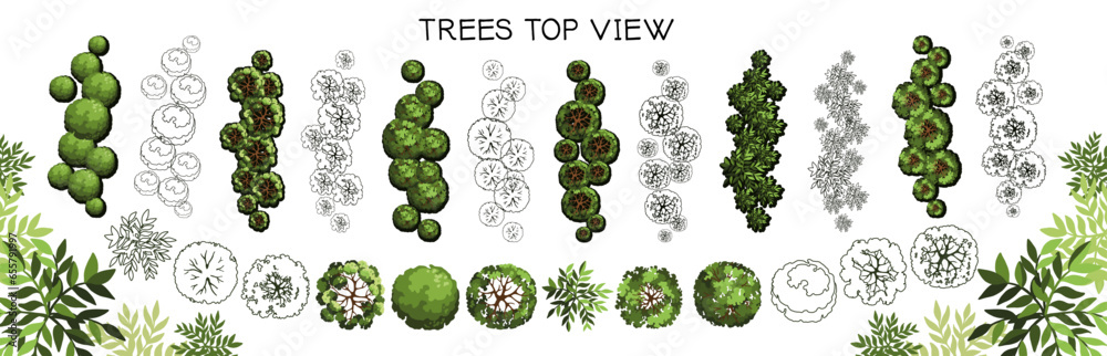 Vektor Group of trees for architectural floor plans. Entourage design. Various trees, bushes ...