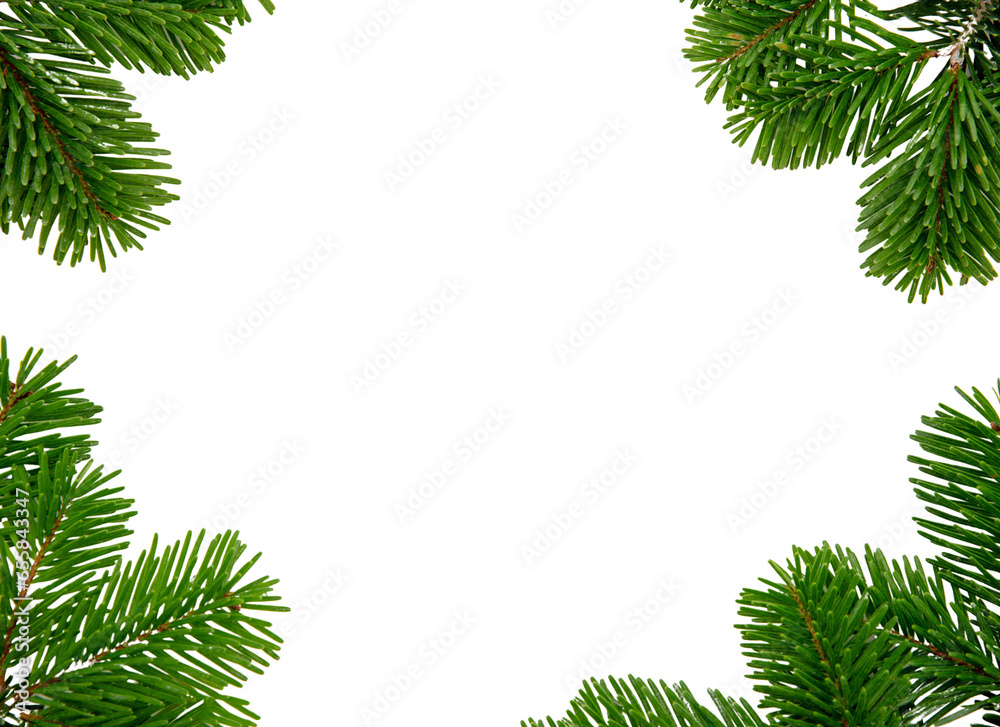 Christmas tree frame isolated on white transparent, Xmas spruce, green ...