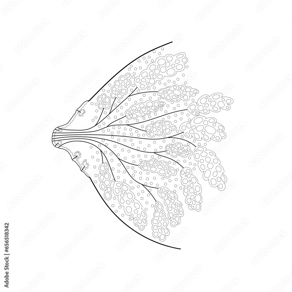 Woman breast internal structure line drawing. Side view of mammary ...