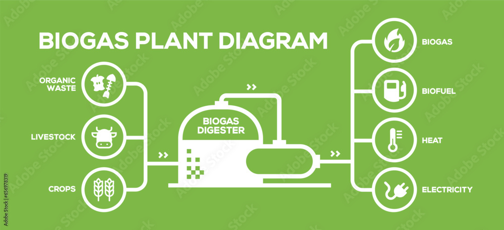 Simple Biogas Plant Diagram. Biogas Production Phases: Illustrated ...