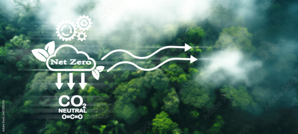 Net zero and carbon neutral concept, greenhouse gas emissions target ...