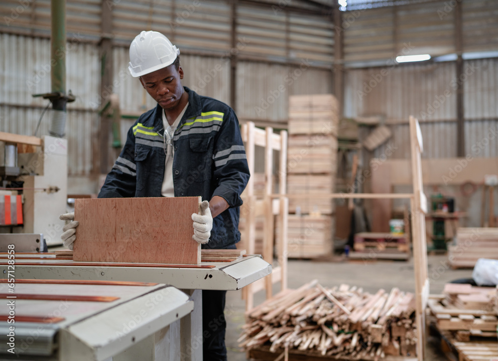 Young adult worker standing in warehouse examining hardwood material ...