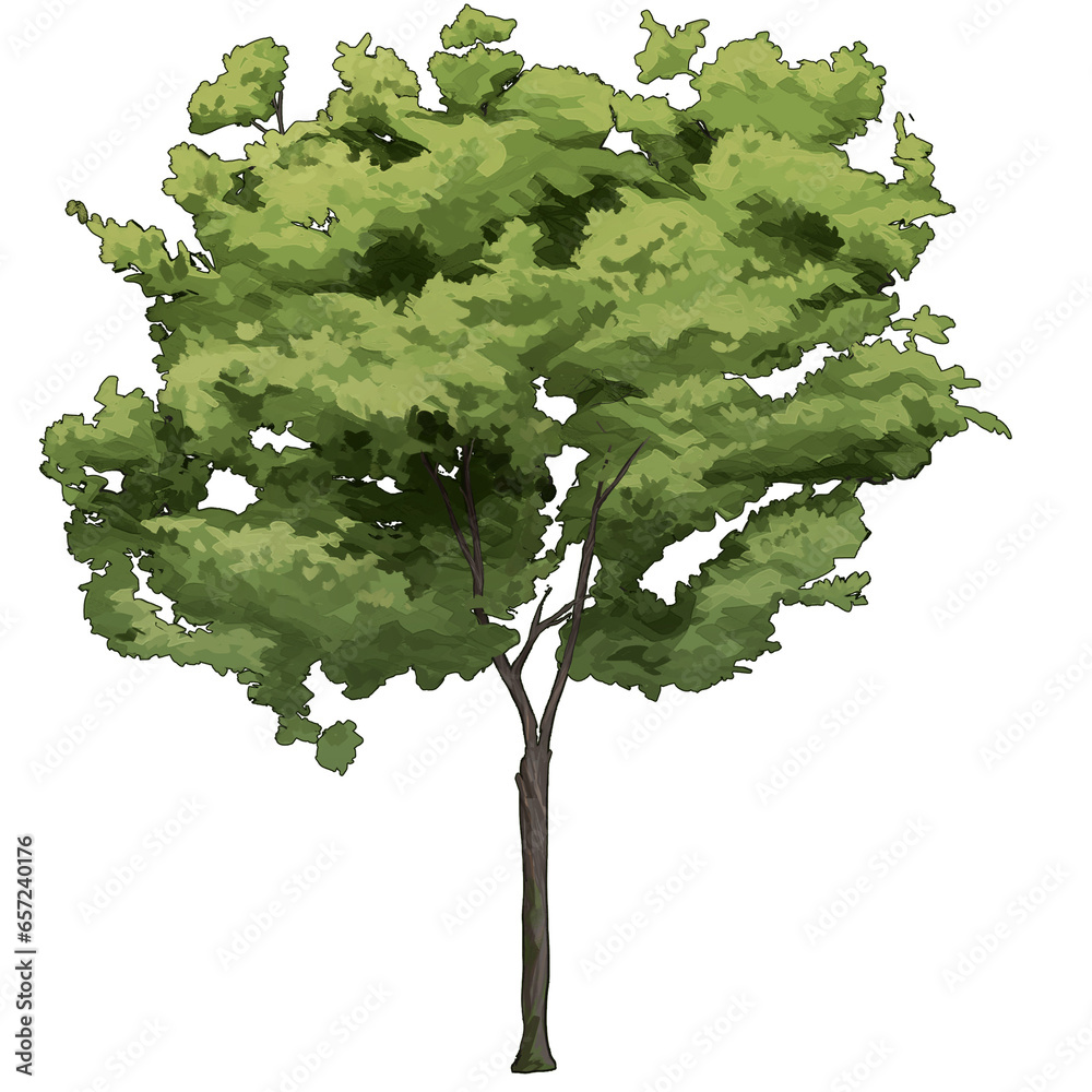 2D illustration of a tree, hand drawing toon or manga style, for ...