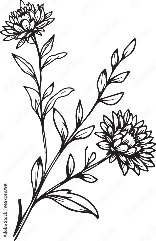 Single line drawing of beauty fresh aster for home wall art decor ...