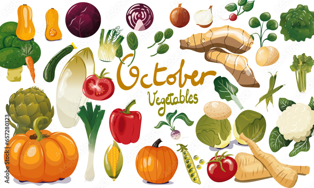 Image vectorielle Stock Ensemble de légumes de saison du mois d'octobre ...