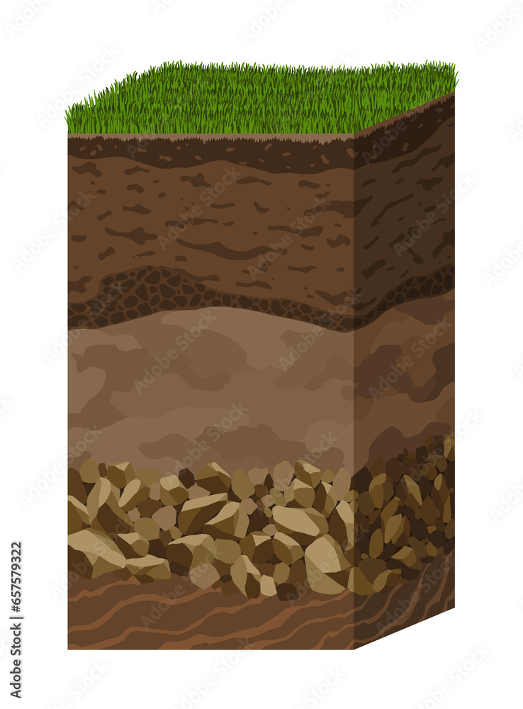 Soil layers. Surface horizons upper layer of earth structure with ...
