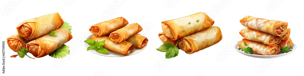Spring Roll clipart collection, vector, icons isolated on transparent ...