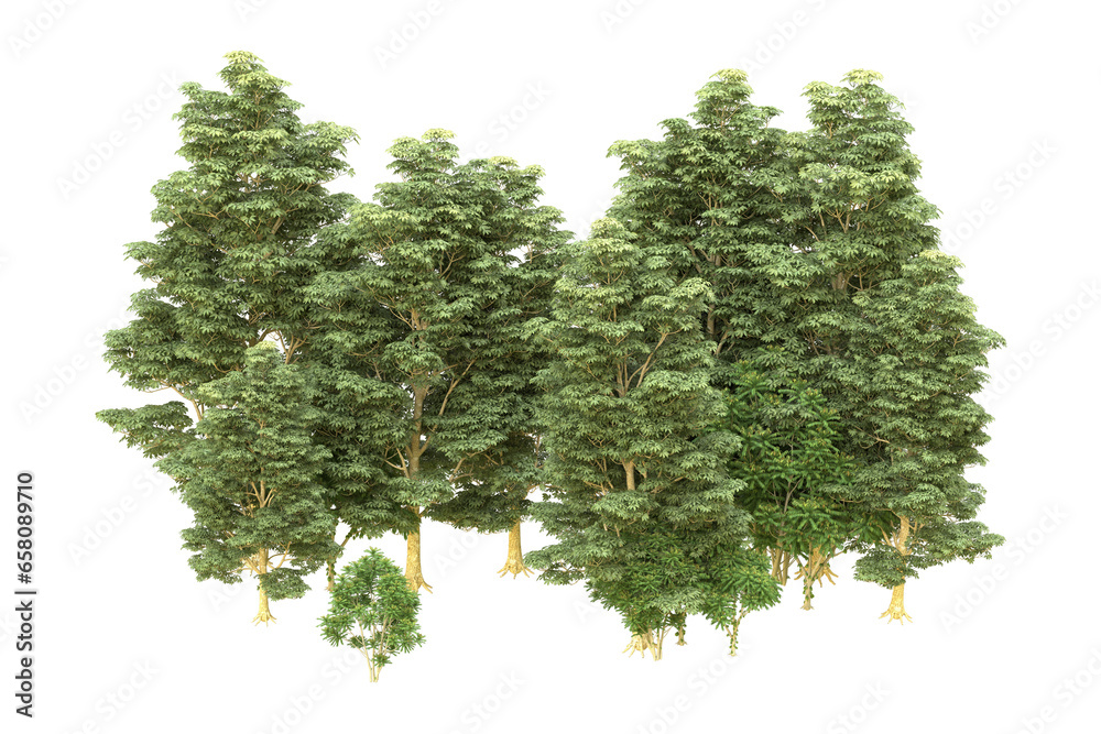 Realistic forest isolated on transparent background. 3d rendering ...