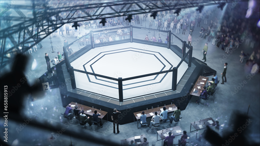 MMA octagon. View from above. Fighting championship. 3D. Battle night ...